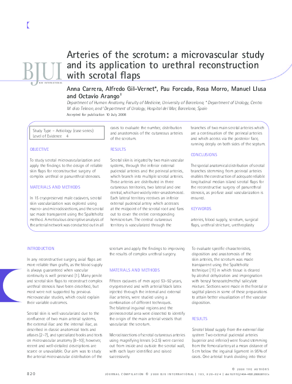 (PDF) Arteries of the scrotum: a microvascular study and its ...