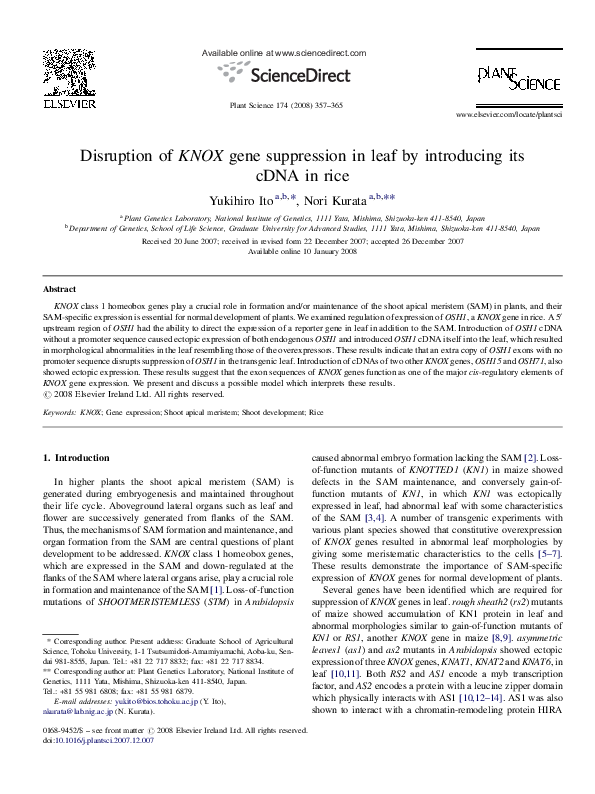 (PDF) Disruption of KNOX gene suppression in leaf by introducing its ...