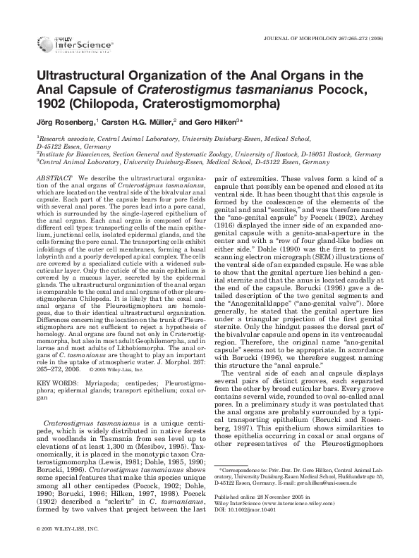 (PDF) Ultrastructure of Anal Organs in Craterostigmus