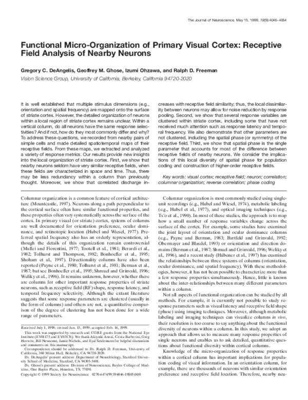 Pdf Functional Micro Organization Of Primary Visual Cortex Receptive Field Analysis Of Nearby