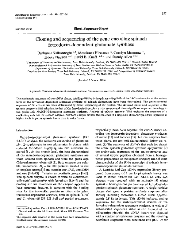 (PDF) Cloning and sequencing of the gene encoding spinach ferredoxin ...
