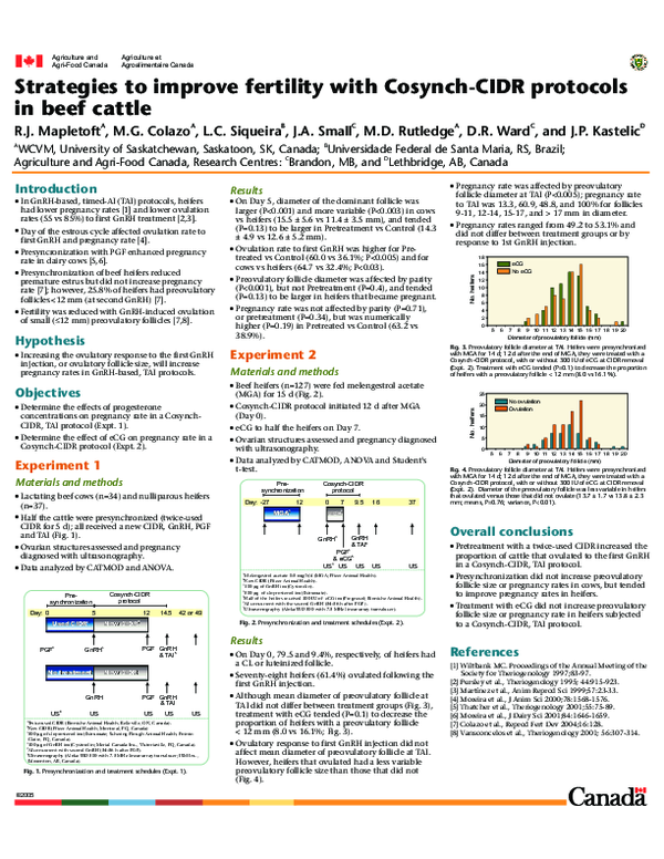 (PDF) 18 STRATEGIES TO IMPROVE FERTILITY WITH COSYNCH-CIDR PROTOCOLS IN ...