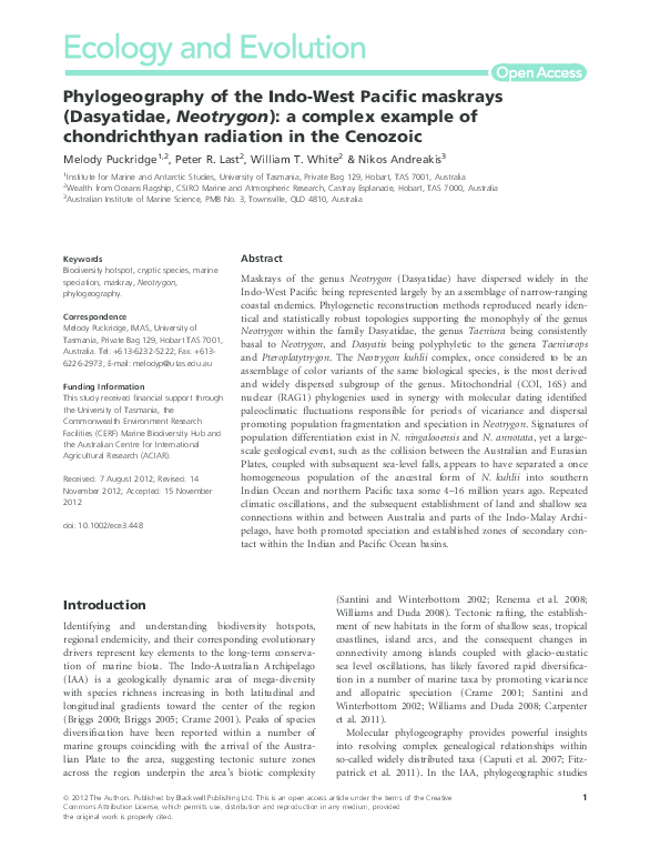 (PDF) Multiple cryptic species in the blue-spotted maskray ...