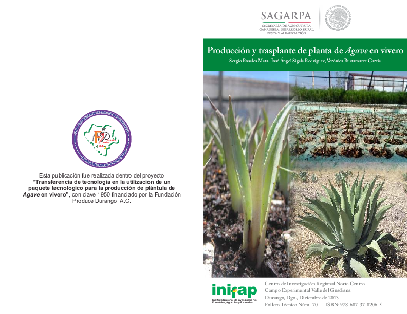 (PDF) Producción y trasplante de planta de Agave en vivero