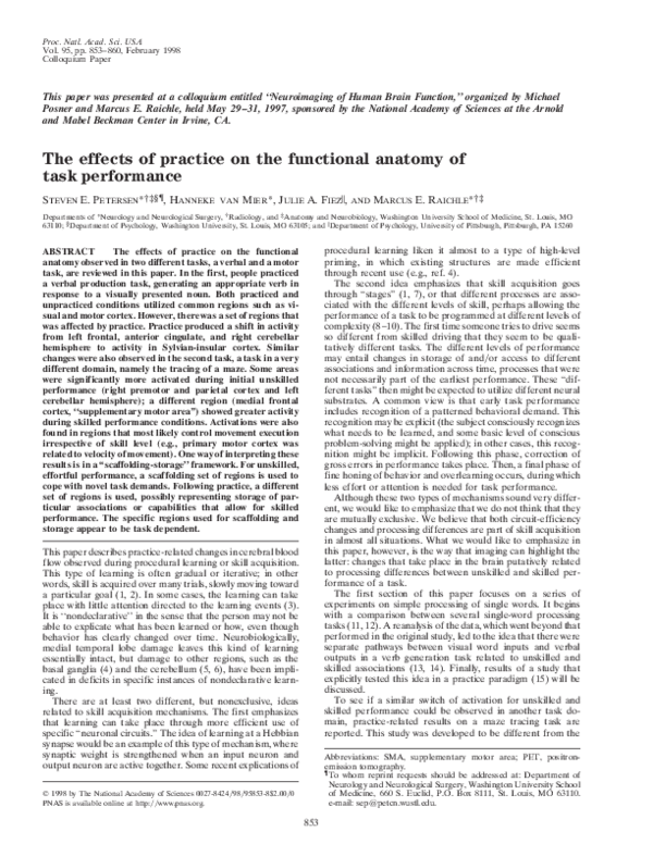 (PDF) The effects of practice on the functional anatomy of task performance