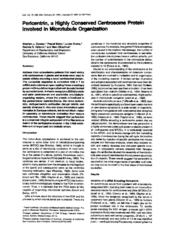 (PDF) Pericentrin, a highly conserved centrosome protein involved in ...
