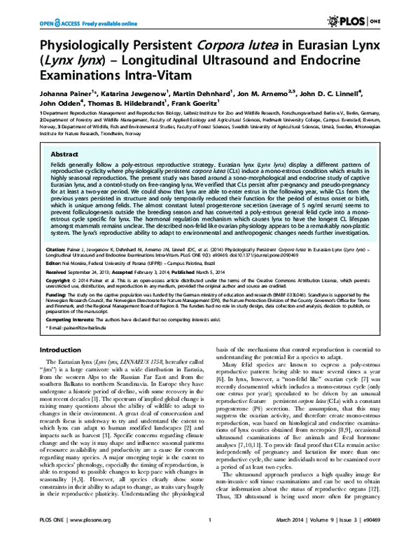 (PDF) Lynx reproduction – Long-lasting life cycle of corpora lutea in a ...