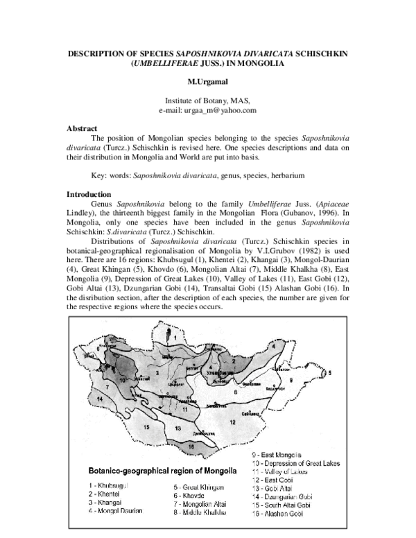 (PDF) DESCRIPTION OF SPECIES SAPOSHNIKOVIA DIVARICATA SCHISCHKIN ...