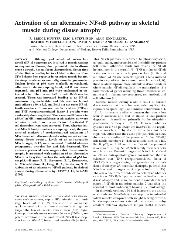 (PDF) Activation of an alternative NF-kappaB pathway in skeletal muscle ...