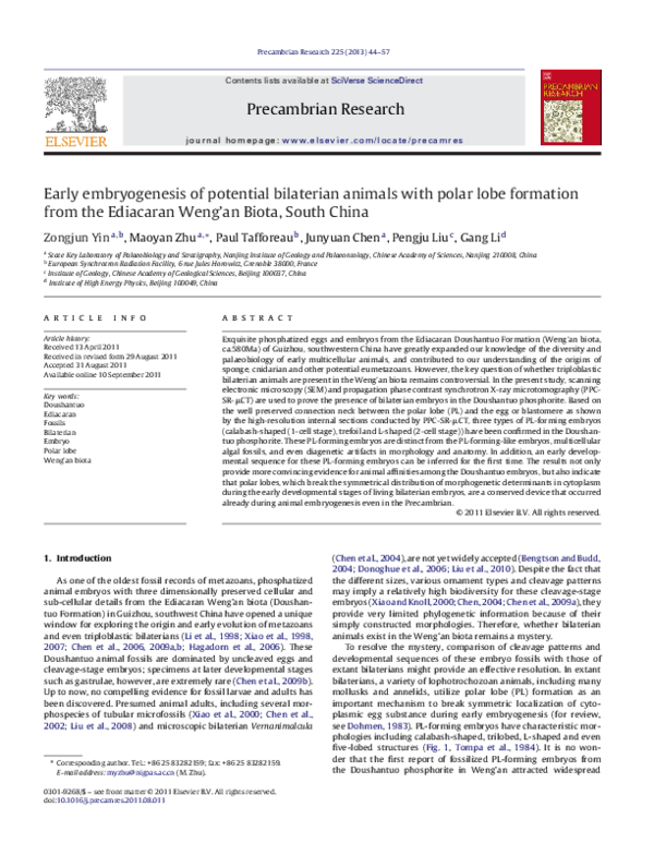 (PDF) Early embryogenesis of potential bilaterian animals with polar ...