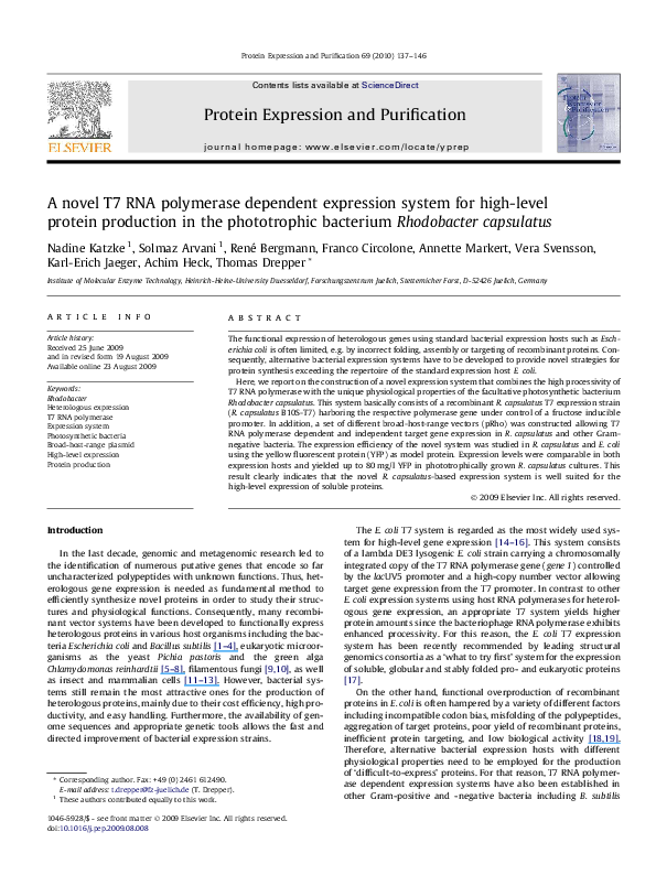 (PDF) A novel T7 RNA polymerase dependent expression system for high ...