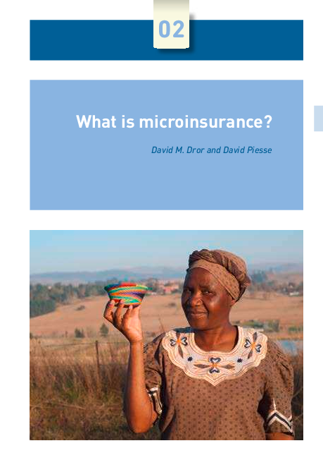 (PDF) What is Microinsurance?
