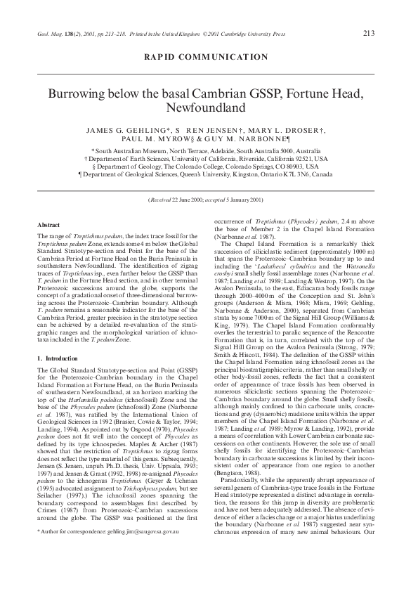 (PDF) Burrowing below the basal Cambrian GSSP, Fortune Head, Newfoundland