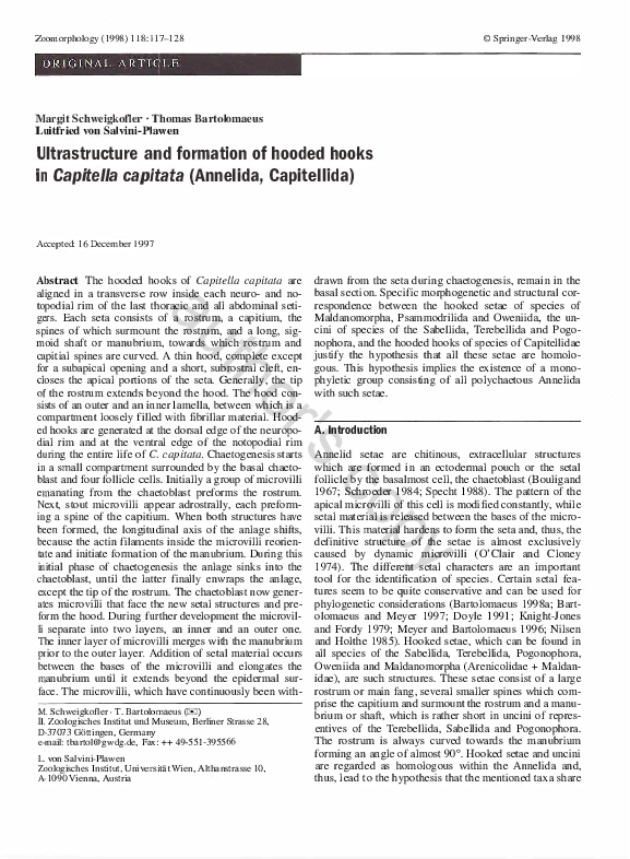 (PDF) Ultrastructure and formation of hooded hooks in Capitella ...
