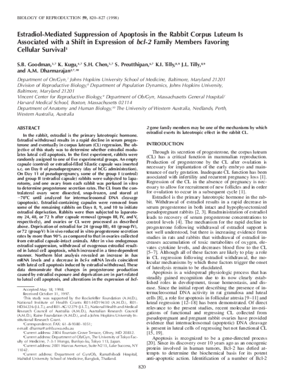 (PDF) Estradiol's Role in Apoptosis and Progesterone in Rabbit CL