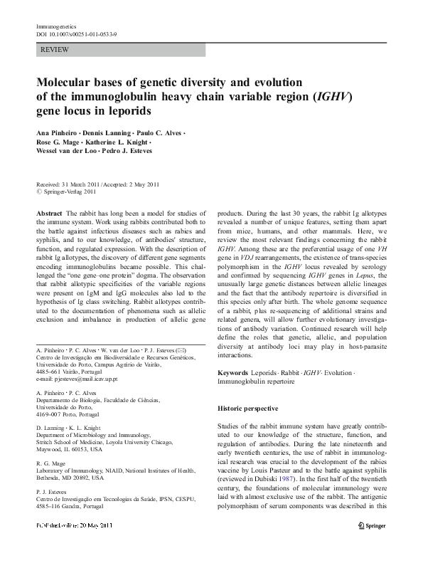 (PDF) Molecular bases of genetic diversity and evolution of the ...