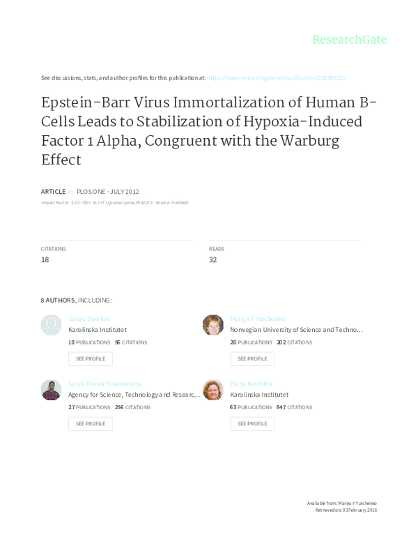 (PDF) Epstein-Barr Virus Immortalization of Human B-Cells Leads to ...