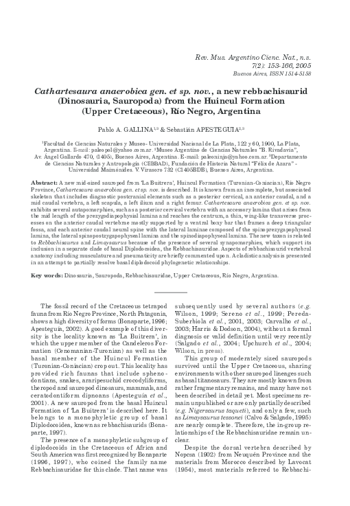 (PDF) Cathartesaura anaerobica gen. et sp. nov., a new rebbachisaurid ...