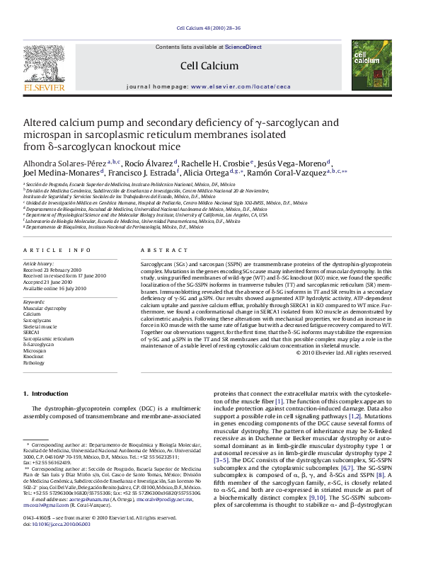 (PDF) Altered calcium pump and secondary deficiency of -sarcoglycan and ...