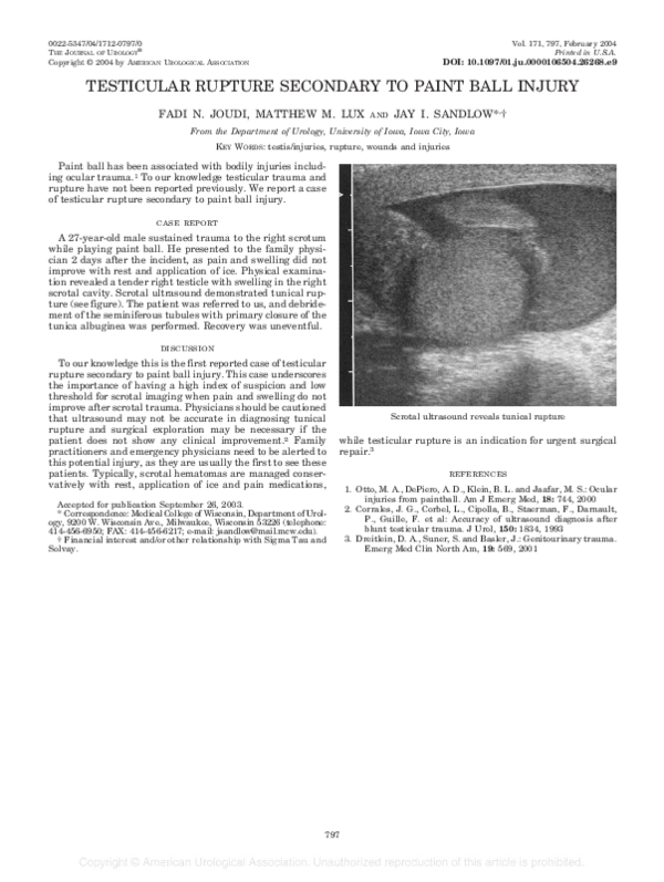(PDF) Testicular Rupture Secondary to Paint Ball Injury | Jay Sandlow ...