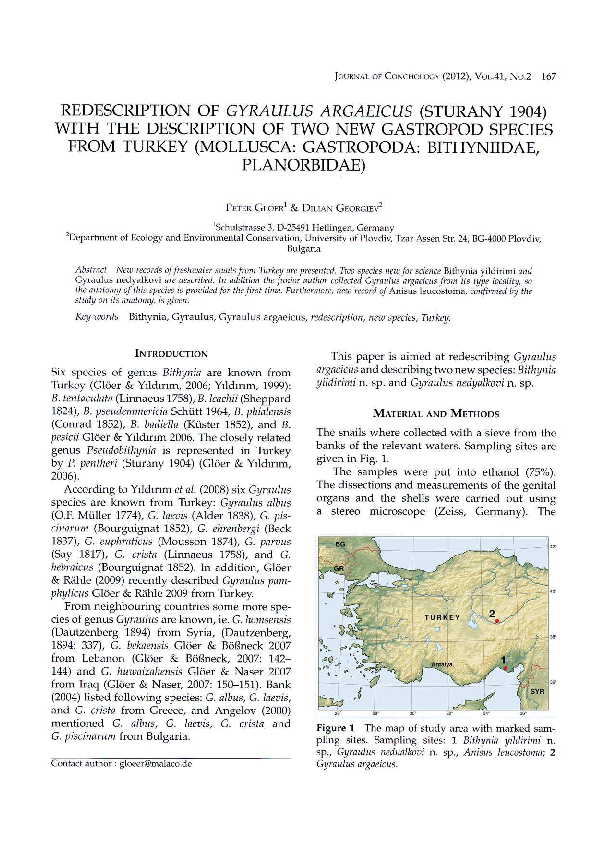 (PDF) Redescription of Gyraulus argaeicus (Sturany 1904) with the ...