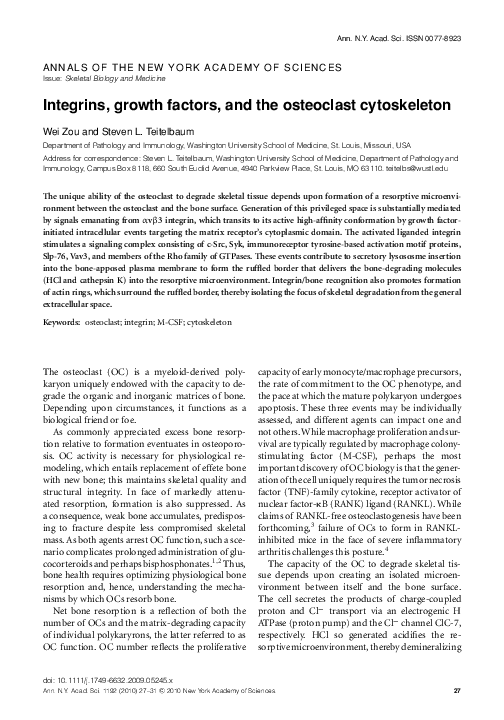 (PDF) Integrins, growth factors, and the osteoclast cytoskeleton
