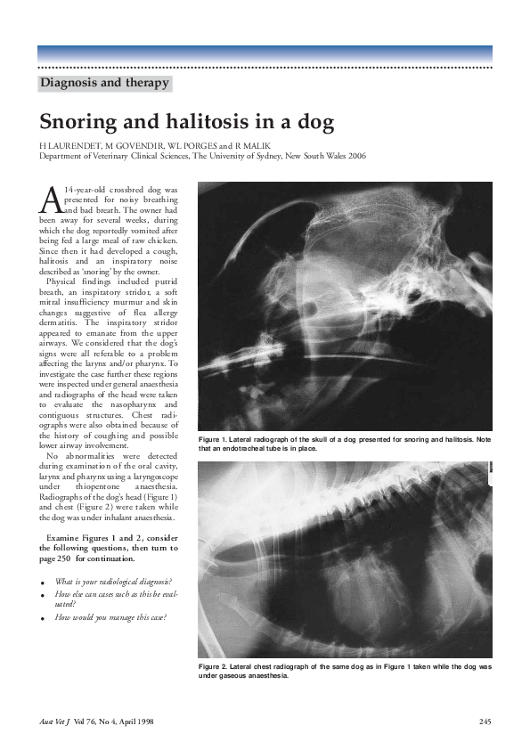 (PDF) Snoring and halitosis in a dog