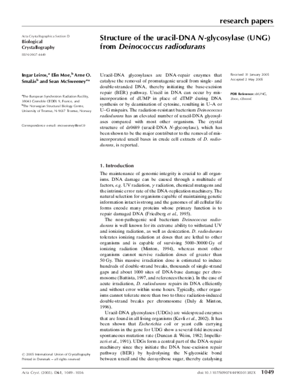 (PDF) Structure of the uracil-DNA N -glycosylase (UNG) from Deinococcus ...