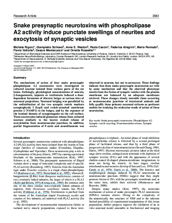 (PDF) Snake presynaptic neurotoxins with phospholipase A2 activity ...