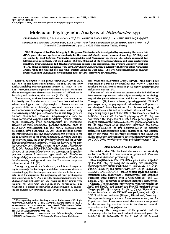 (PDF) Molecular phylogenetic analysis of Nitrobacter spp
