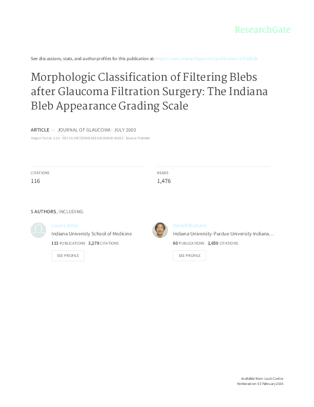 (PDF) Morphologic Classification of Filtering Blebs after Glaucoma ...