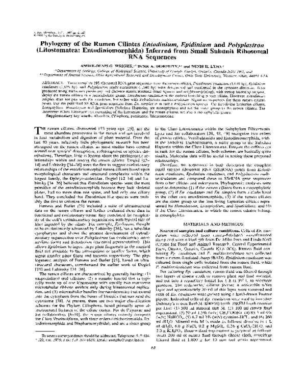 (PDF) Phylogeny of the Rumen Ciliates Entodinium, Epidinium and ...