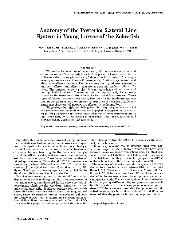 (PDF) Anatomy of the posterior lateral line system in young larvae of ...