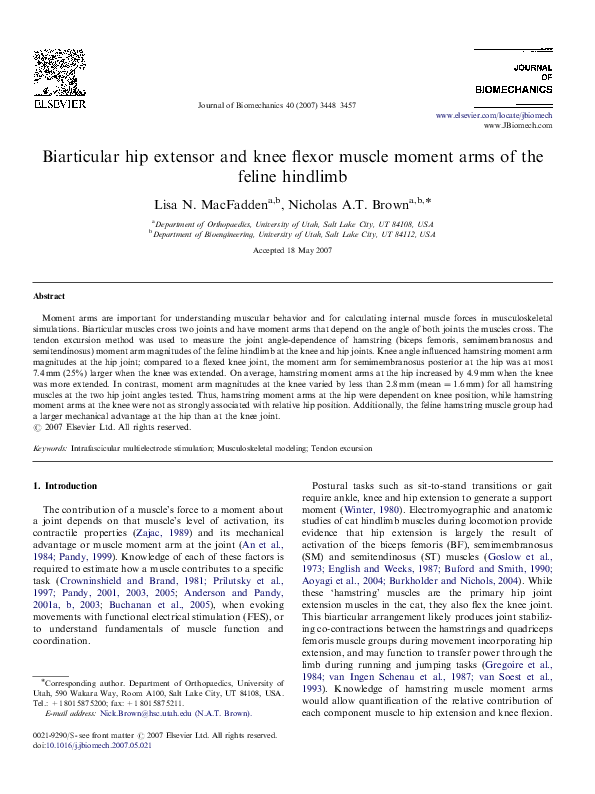 (PDF) Biarticular hip extensor and knee flexor muscle moment arms of ...