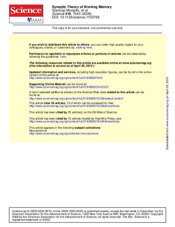 (PDF) Synaptic Theory of Working Memory