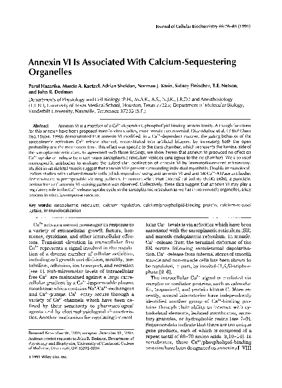 (PDF) Annexin VI is associated with calcium-sequestering organelles