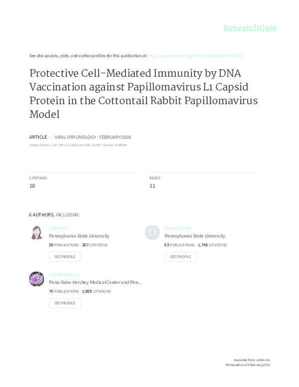 (PDF) Intracutaneous vaccination of rabbits with the cottontail rabbit ...