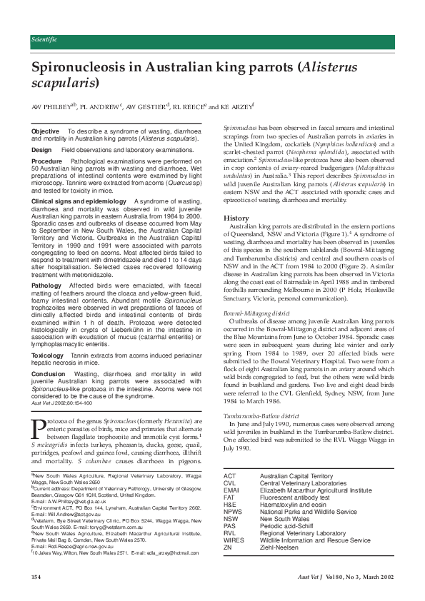 (PDF) Spironucleosis in Australian king parrots (Alisterus scapularis)