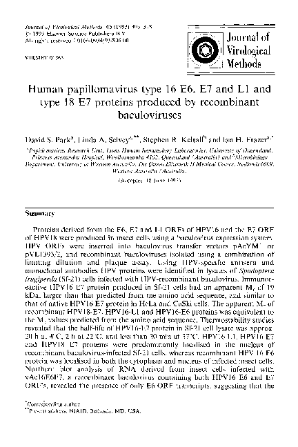 Pdf Human Papillomavirus Type 16 E6 E7 And L1 And Type 18 E7 8937