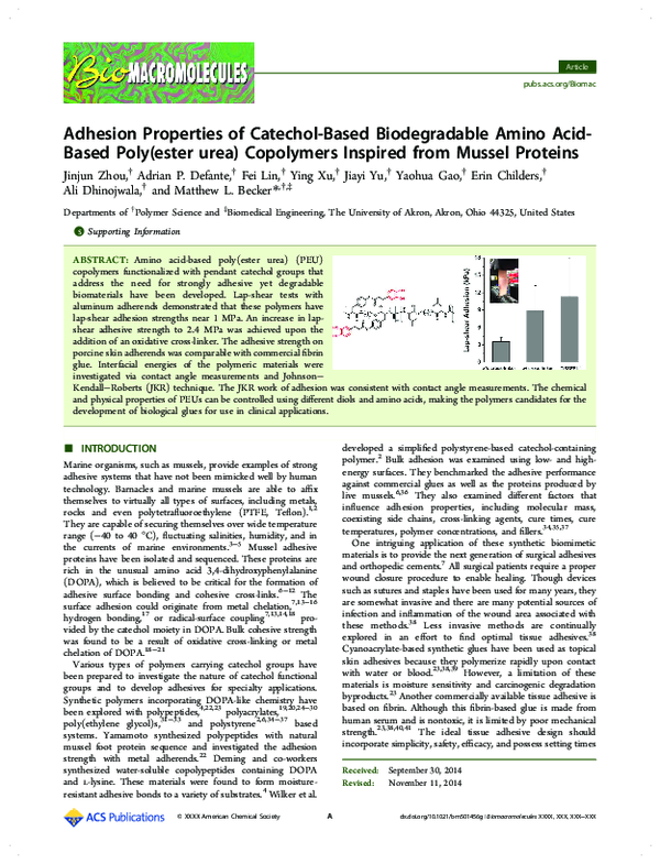 (PDF) Adhesion Properties of Catechol-Based Biodegradable Amino Acid ...