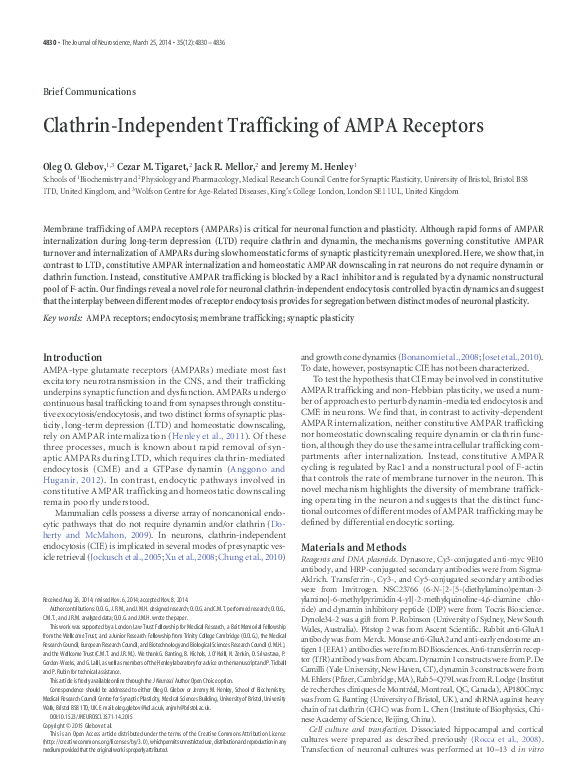 (PDF) Clathrin-independent trafficking of AMPA receptors