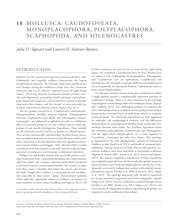 (PDF) Mollusca: Caudofoveata, Monoplacophora, Polyplacophora ...