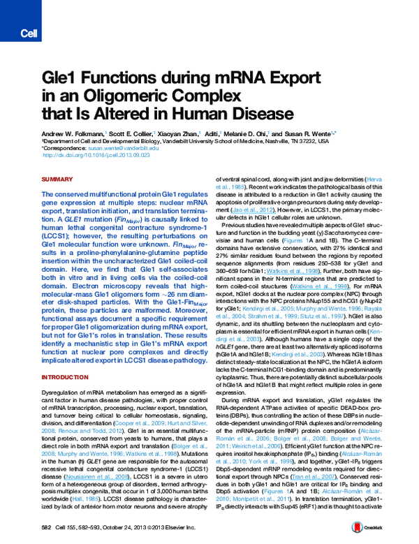 (PDF) Gle1 functions during mRNA export in an oligomeric complex that ...