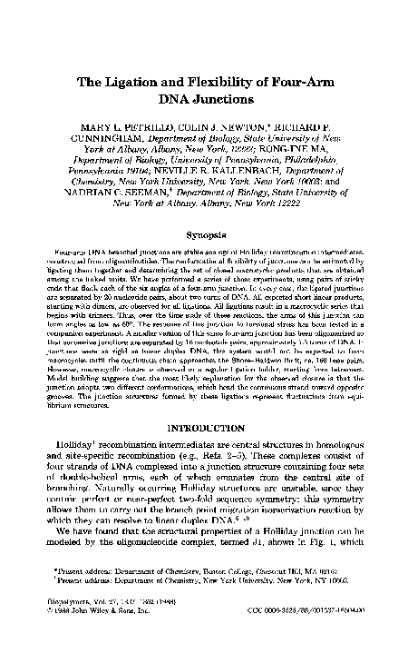 (PDF) The ligation and flexibility of four-arm DNA junctions