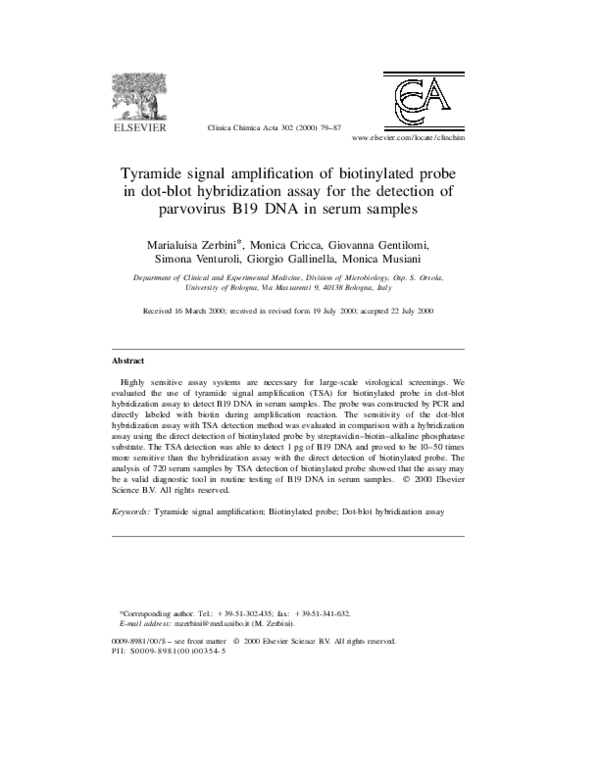 (PDF) Tyramide signal amplification of biotinylated probe in dot-blot ...