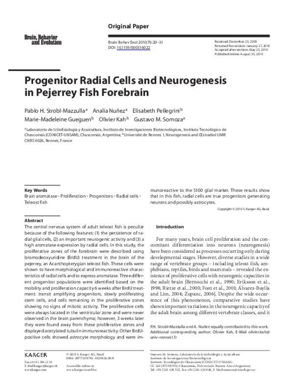 (PDF) Progenitor Radial Cells and Neurogenesis in Pejerrey Fish Forebrain
