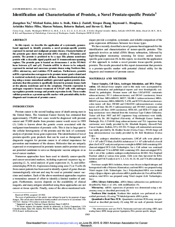 (PDF) Identification and characterization of prostein, a novel prostate ...