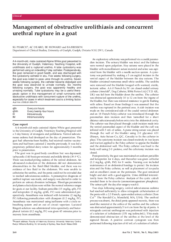 (PDF) Management of obstructive urolithiasis and concurrent urethral rupture in a goat