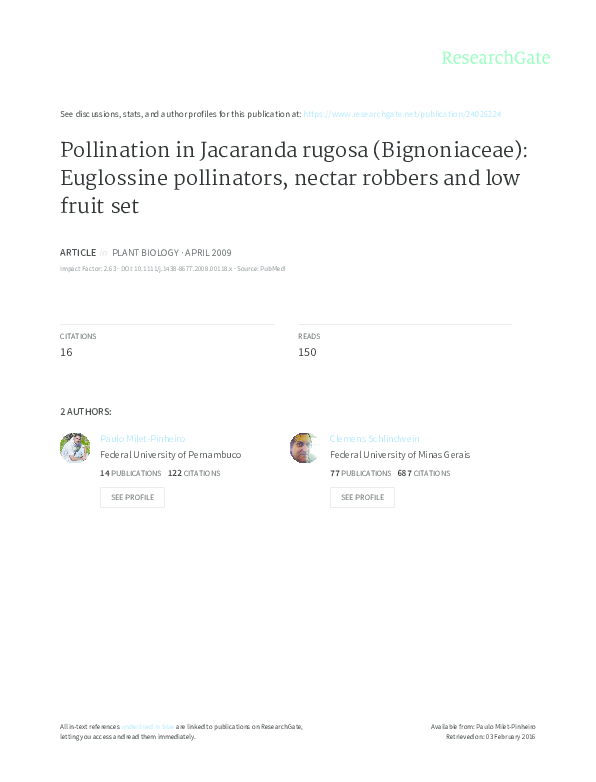 (PDF) Pollination in Jacaranda rugosa (Bignoniaceae): euglossine ...