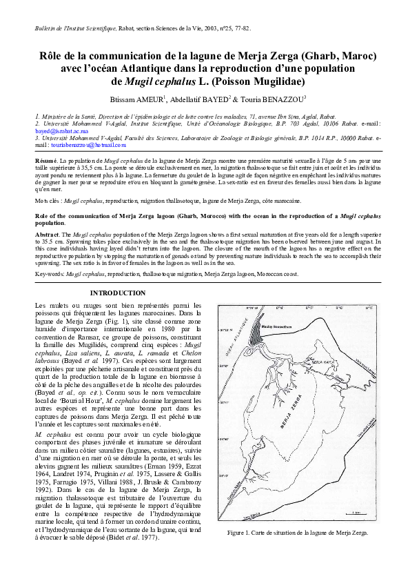 (PDF) Rôle de la communication de la lagune de Merja Zerga (Gharb ...